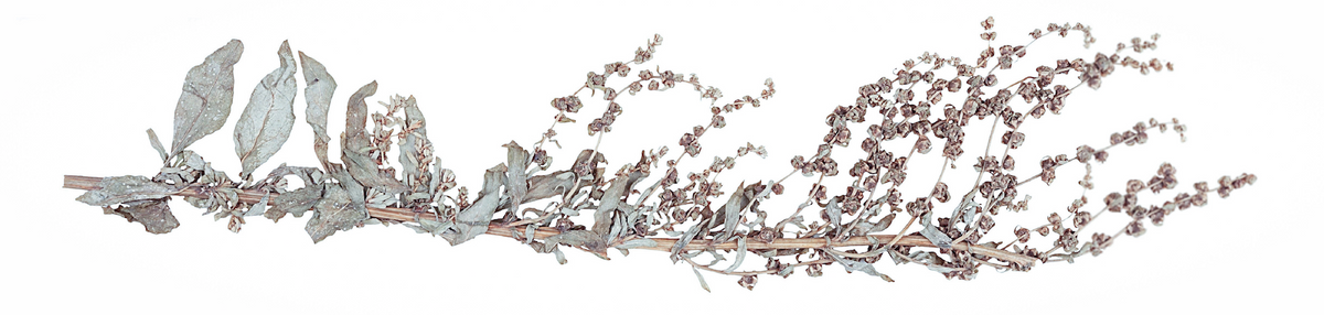 Runner: Dried Fynbos with hand stitching – STUDIO by isobel sippel
